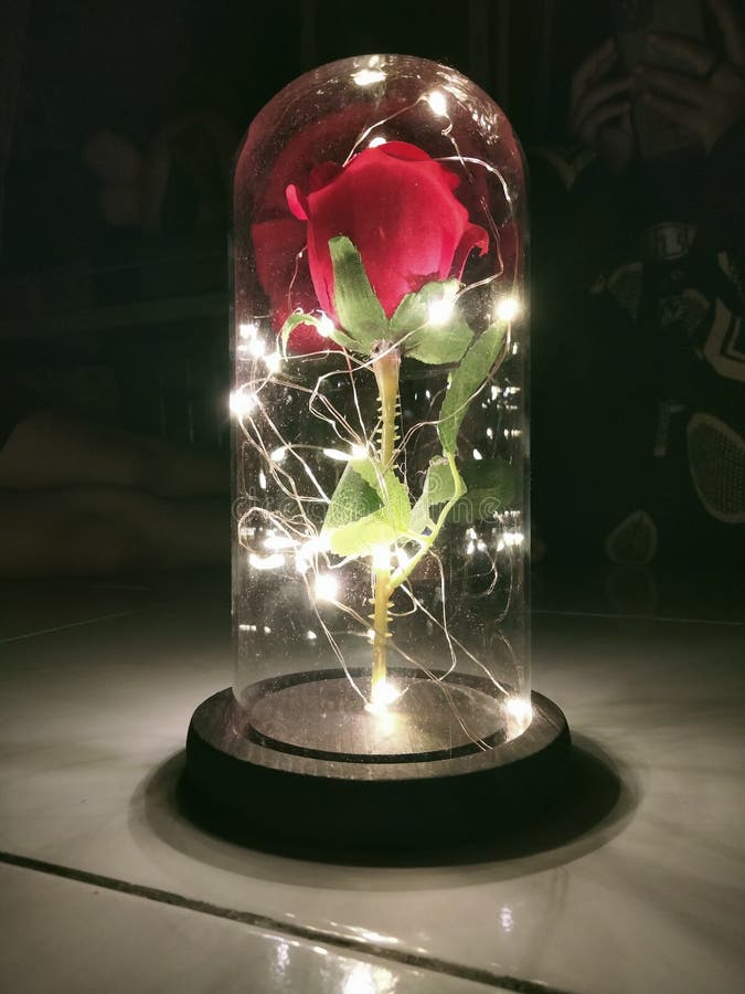 Rose Decoration in a Beautiful Glass Tube Stock Photo - Image of great ...