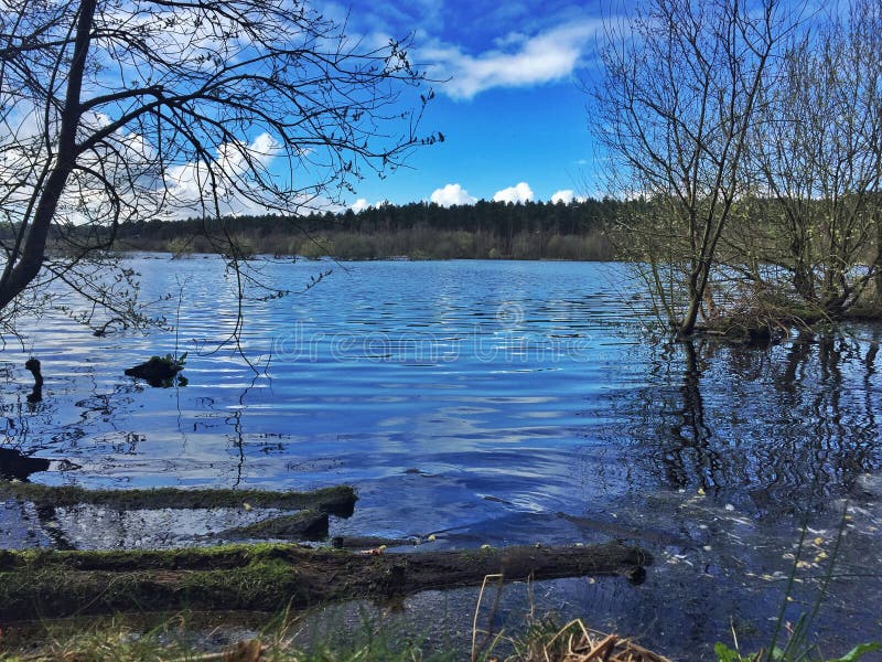 Delamere forest lake stock image. Image of lake, beautiful - 89847401