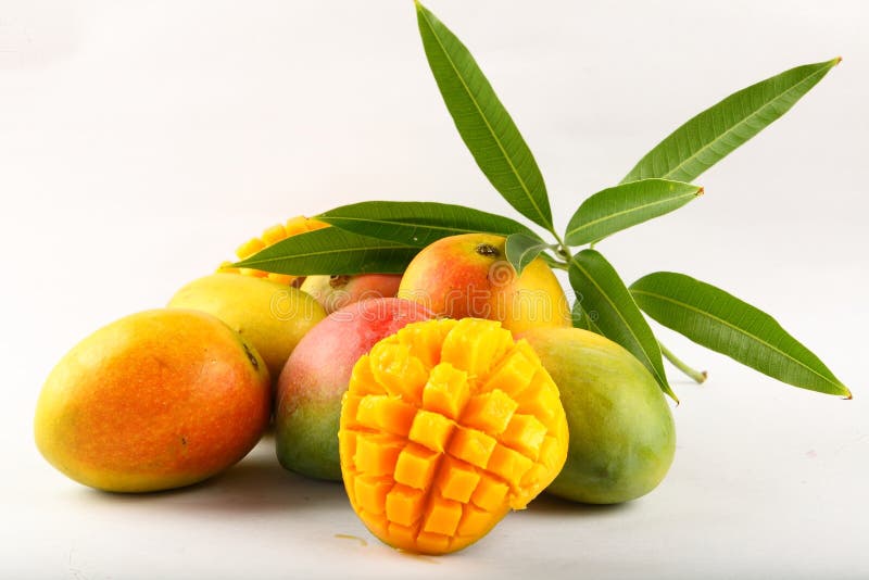 Fresh Alphonso Mango Fruit White Background Stock Photo - Image of ...
