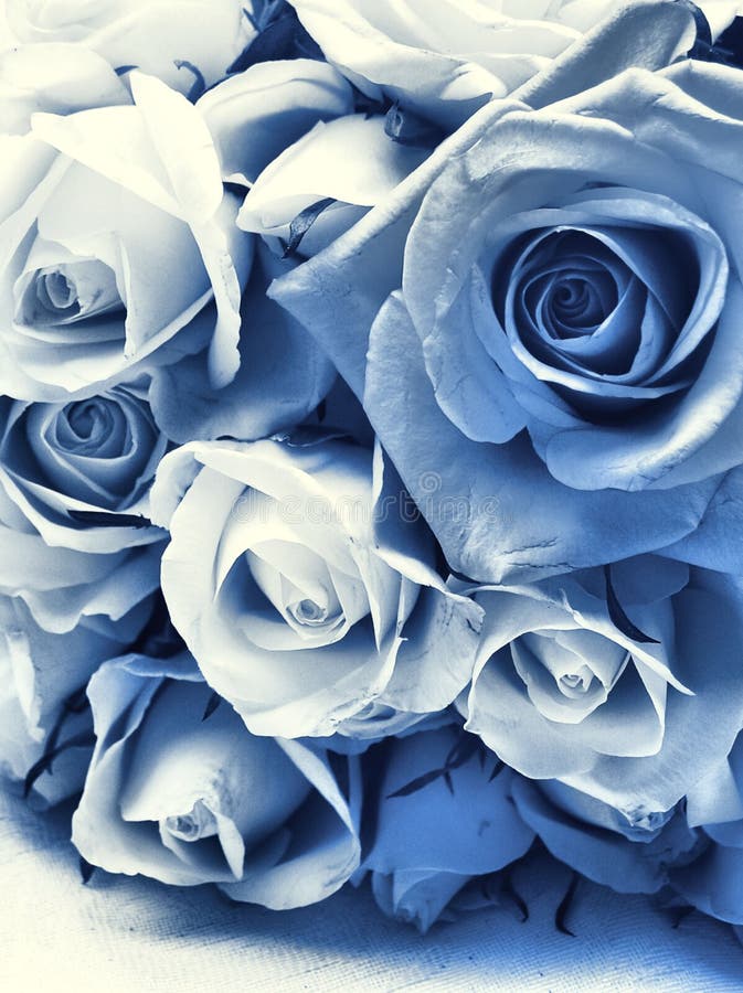 Delft Blue wedding bouquet stock image. Image of holland - 6563921