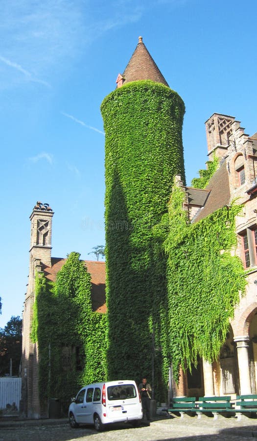 Delft Gothic Building Covered with Green Ivy. Stock Image - Image of ...