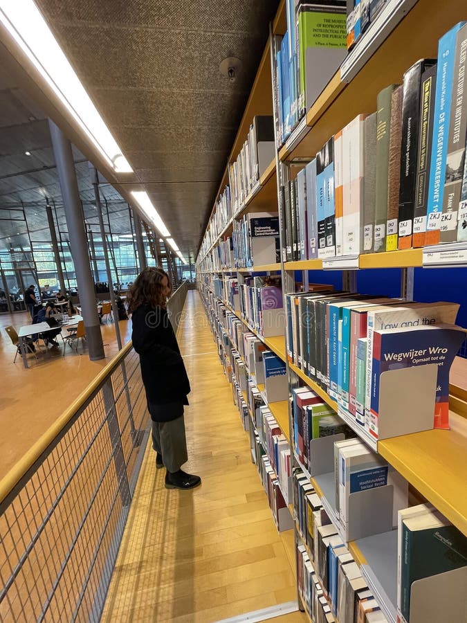 He Delft University of Technology in Delft, the Netherlands Editorial ...