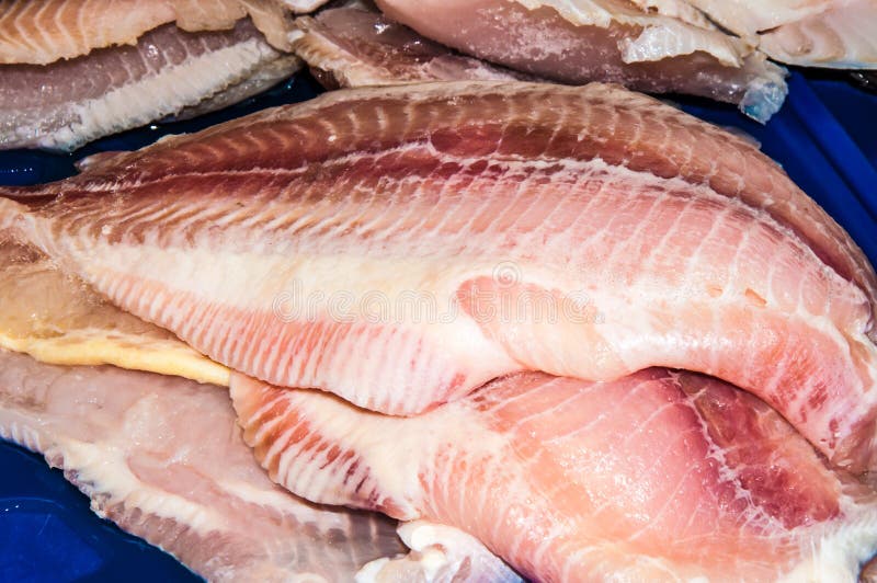 Delicacy fish stock image. Image of sushi, salmon, gourmet - 49701971