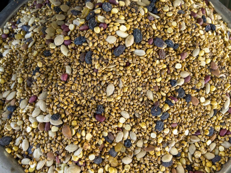 Delicacy Nutrition for the Chickens Stock Photo - Image of healthyfood ...