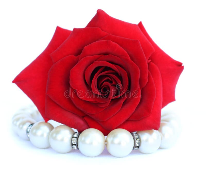 Delicada Rosa Con Perlas En Un Fondo Blanco Imagen de archivo - Imagen ...