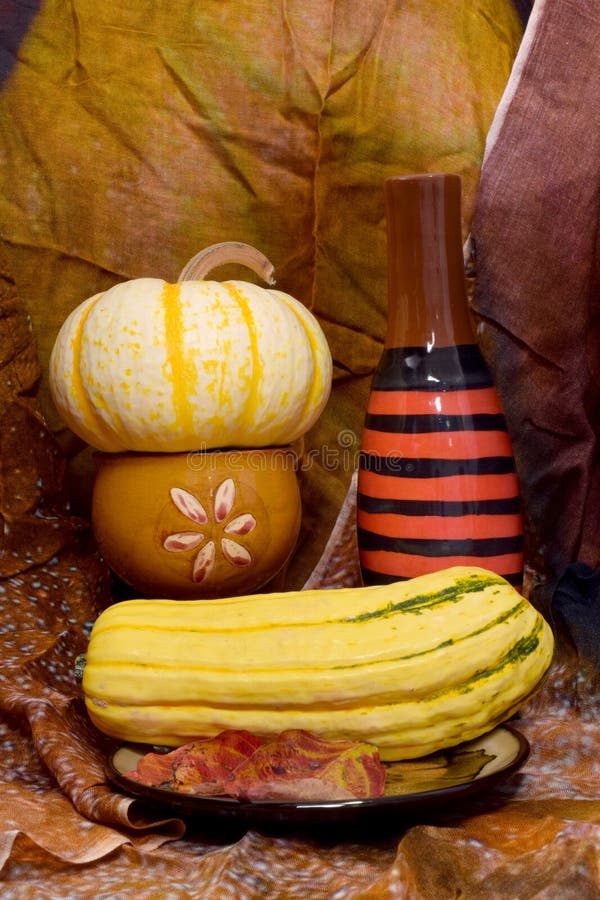 Delicata Squash Still Life 06 Stock Photo - Image of gourd, life: 264283398