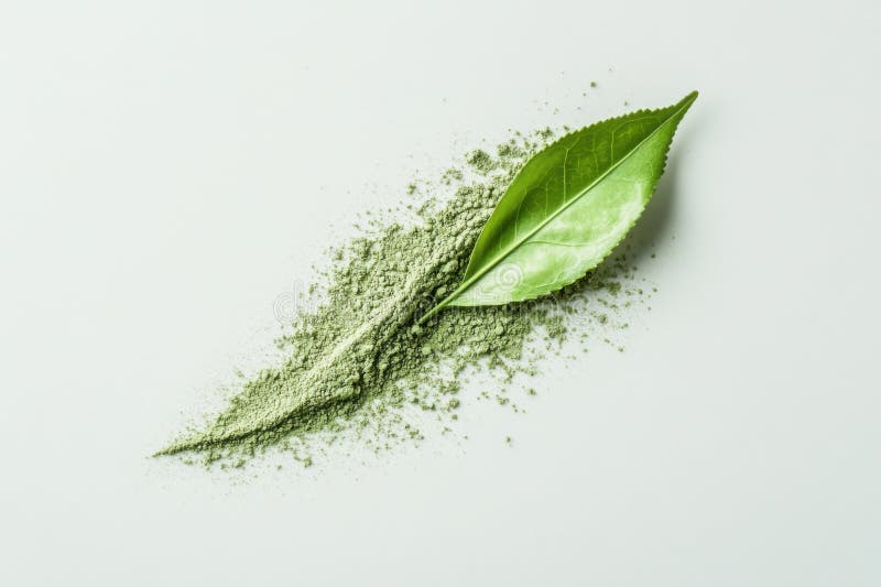 Matcha Tea Powder Artfully Arranged with Fresh Green Tea Leaf on Light ...