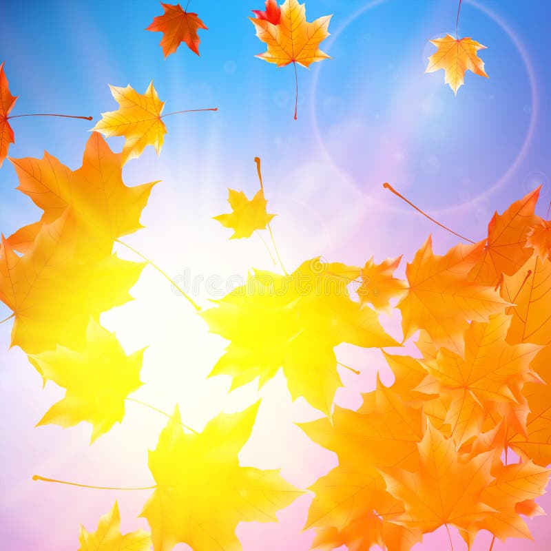 Delicate Autumn Sun with Glare on Blue Sky. Stock Vector - Illustration ...