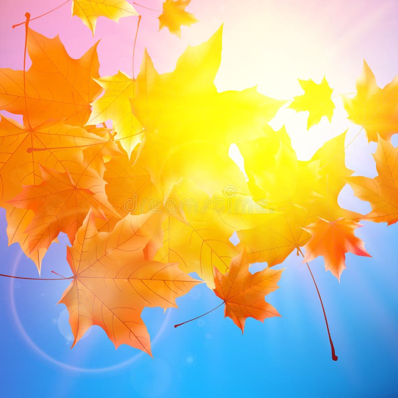 Delicate Autumn Sun with Glare on Blue Sky. Stock Vector - Illustration ...