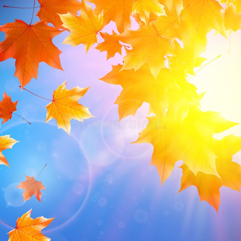 Delicate Autumn Sun with Glare on Gold Sky. Stock Vector - Illustration ...