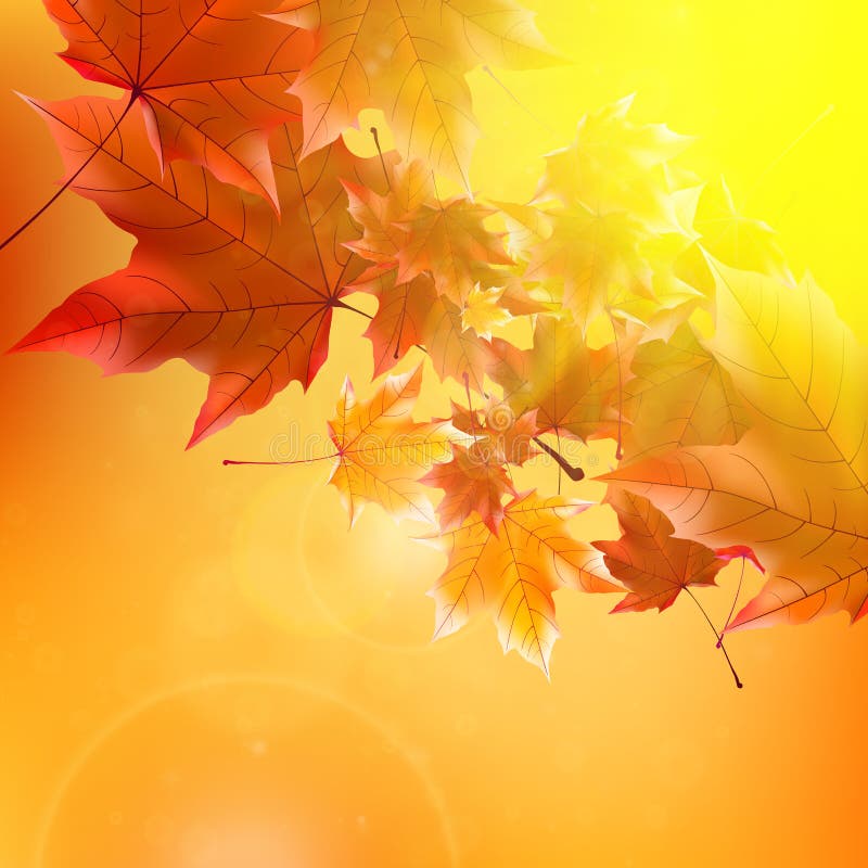 Delicate Autumn Sun with Glare on Gold Sky. Stock Vector - Illustration ...