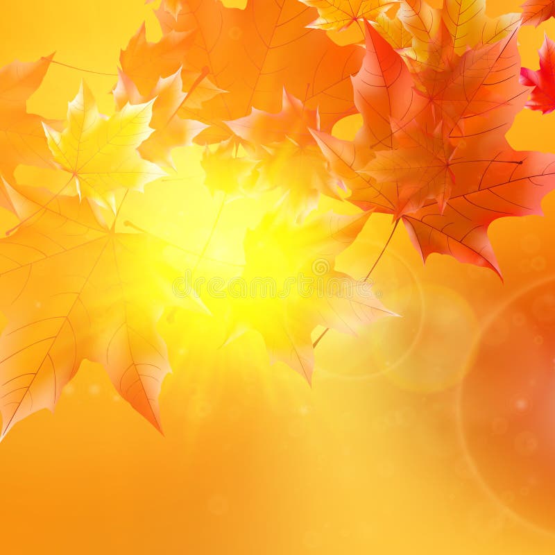 Delicate Autumn Sun with Glare on Gold Sky. Stock Vector - Illustration ...