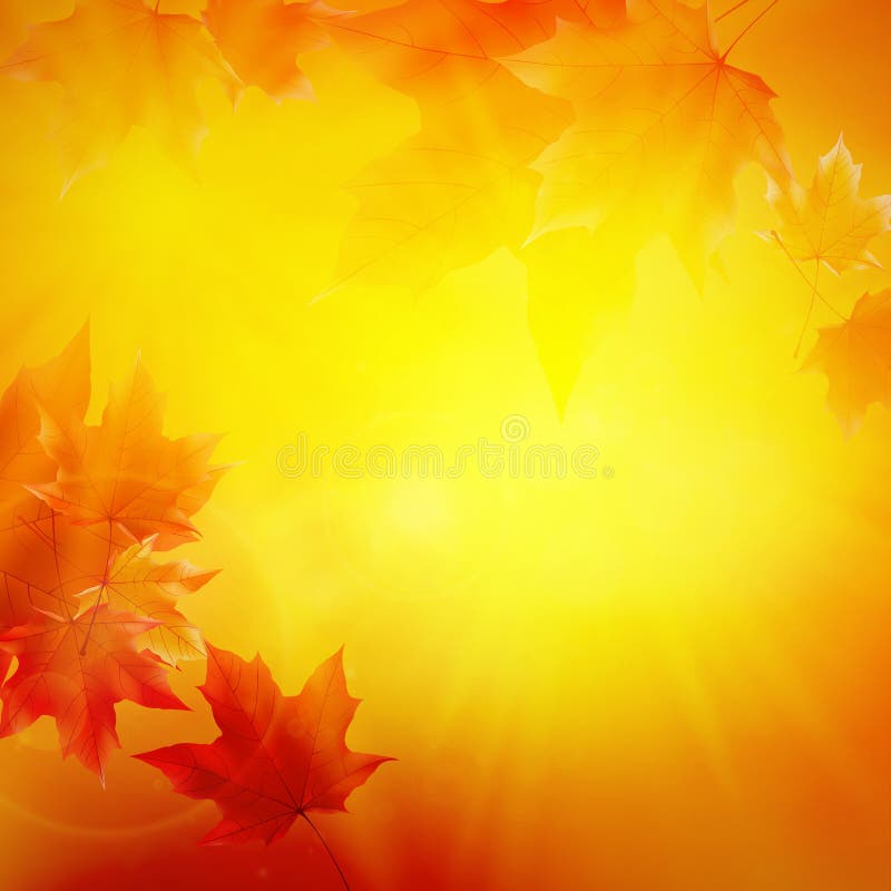 Delicate Autumn Sun with Glare on Gold Sky. Stock Vector - Illustration ...