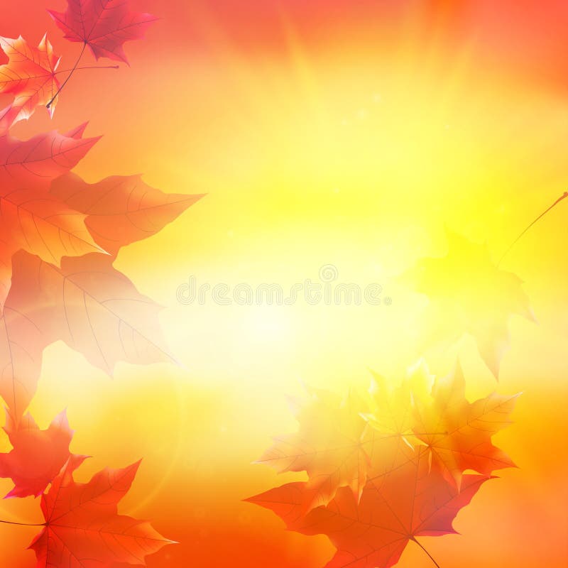 Delicate Autumn Sun with Glare on Gold Sky. Stock Vector - Illustration ...