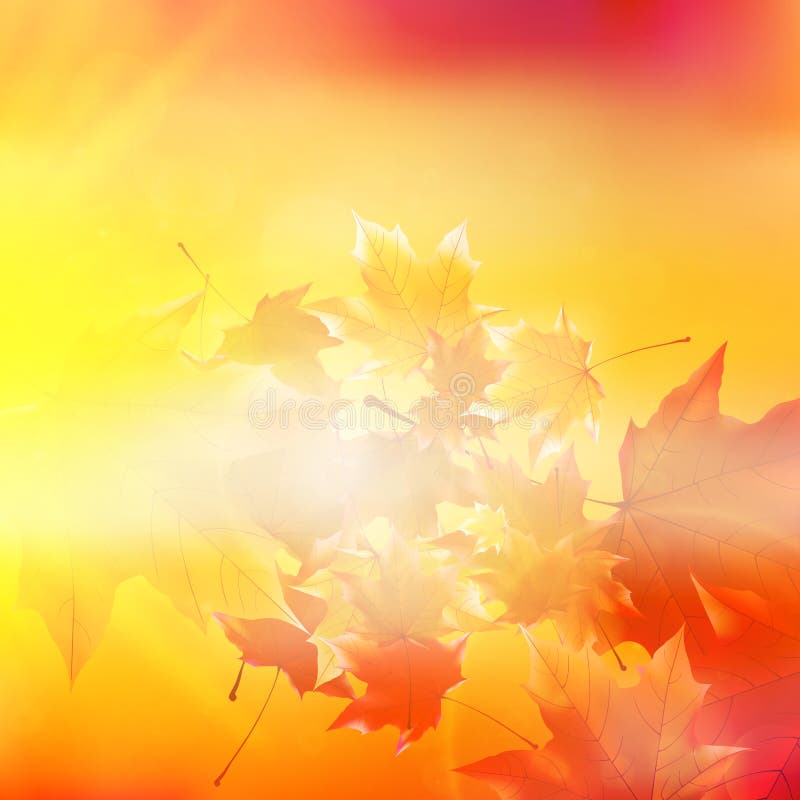 Delicate Autumn Sun with Glare on Gold Sky. Stock Vector - Illustration ...