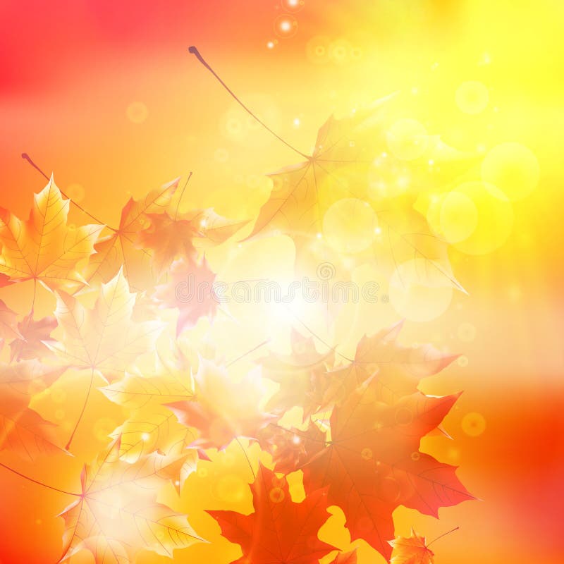 Delicate Autumn Sun with Glare on Gold Sky. Stock Vector - Illustration ...