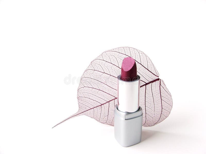 Delicate beauty 2 stock image. Image of isolated, care - 1062365