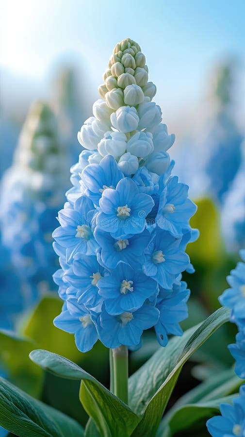 Delicate Blue Flowers Blooming Under a Clear Sky Stock Illustration ...