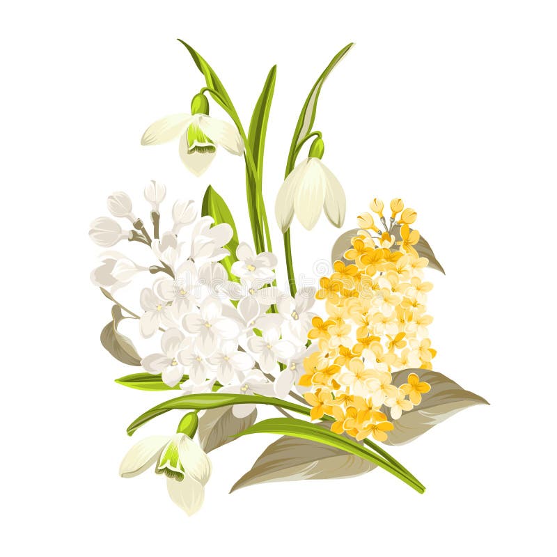 Delicate Bouquet for Your Beloved, Vector Illustration for Wedding and ...