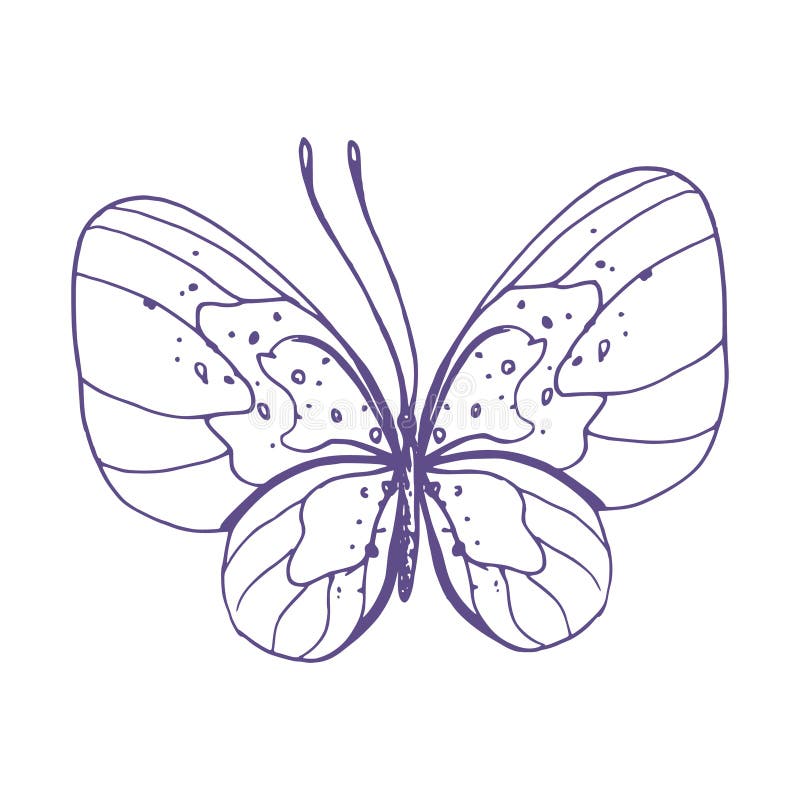 Delicate Butterfly with Patterns on the Wings, Simple, Sweet, Light ...