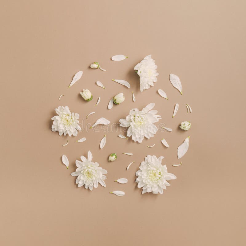 A Delicate Circle Formed by White Petals and Flowers. Minimalist ...