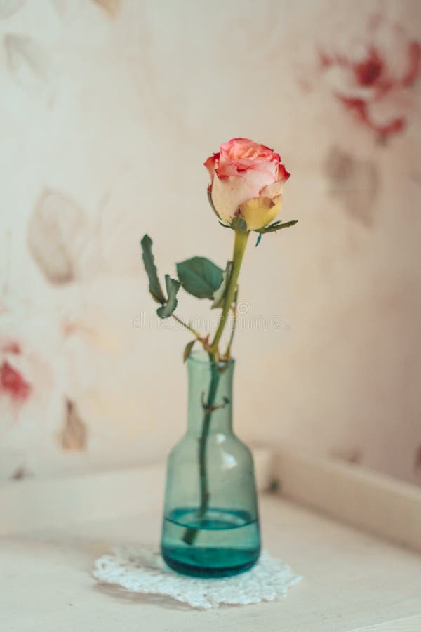 Delicate Composition with Flowers in a Vase Stock Image - Image of ...