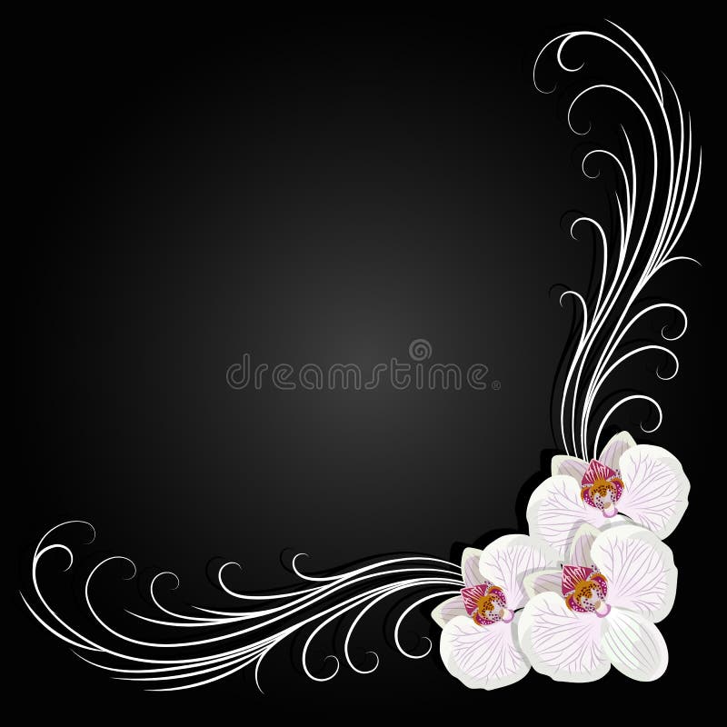 Delicate Corner Frame with Orchid Flowers Stock Vector - Illustration ...