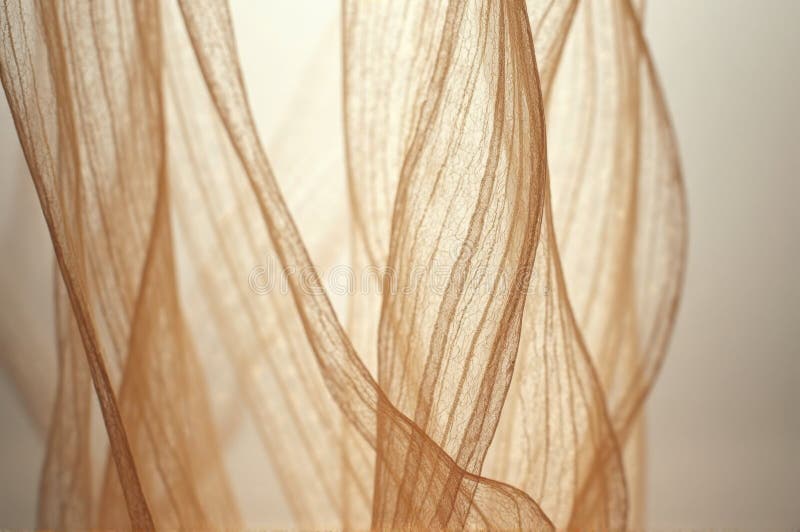 Delicate Cream Fabric Texture with Flowing Sheer Translucent Layers ...