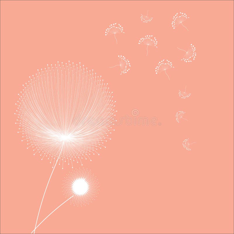 A Delicate Dandelion with Fluffy White Seeds Floating Away Stock Vector ...