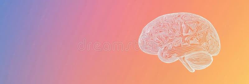 A Delicate Doodle Representing a Human Brain is Displayed with Thin ...