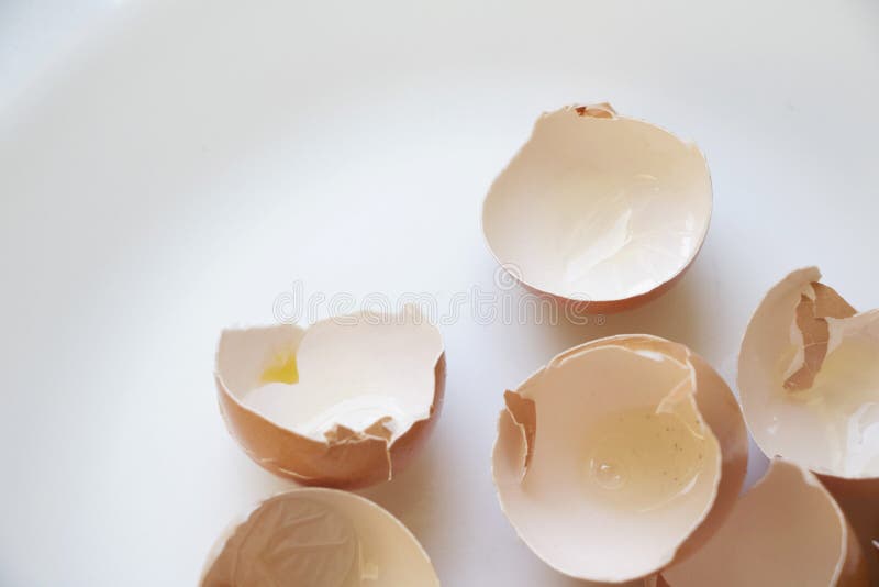 Walking on eggshells stock image. Image of aware, fragility - 58006563