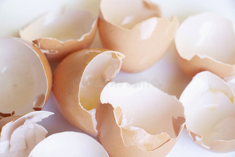 Walking on eggshells stock image. Image of aware, fragility - 58006563