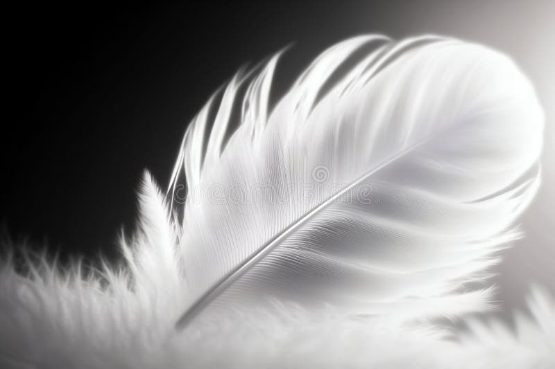 Delicate Elegant White Feather on Solid Background. Generative AI Stock ...