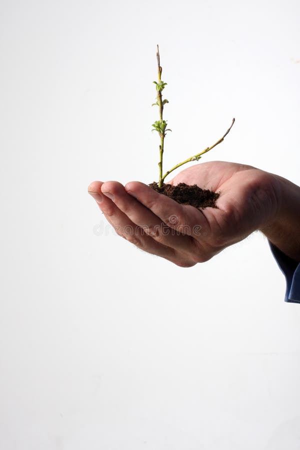 Delicate environment stock image. Image of hands, care - 5160483
