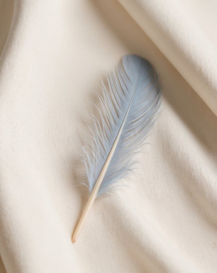 Delicate Feather on Soft Fabric Background. Stock Image - Image of soft ...