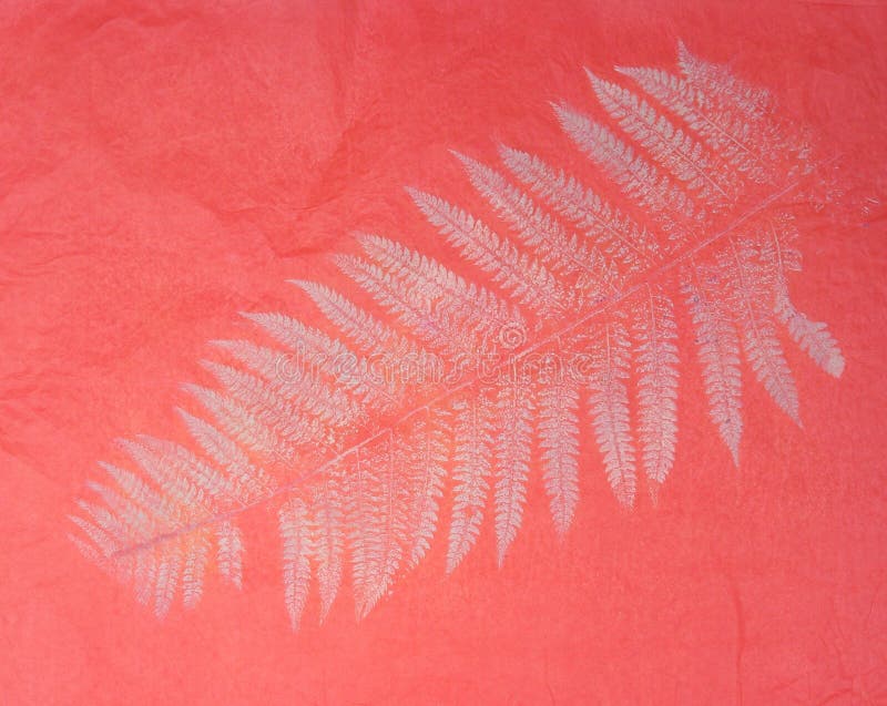 Delicate Fern Print on Textured Paper. Stock Photo - Image of design ...