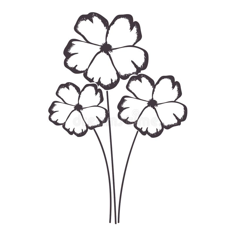 Delicate Flower Drawing Icon Image Stock Vector - Illustration of ...