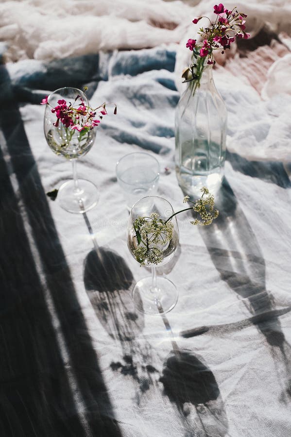 Delicate Flowers Glassware Casting Shadows Stock Photos - Free ...