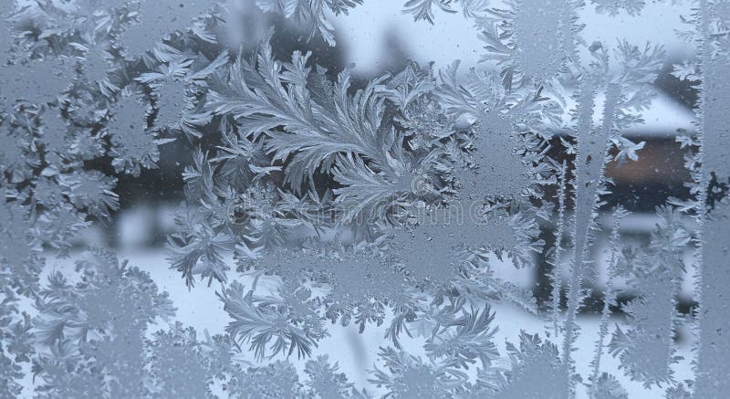 Delicate and Intricate Frost Patterns on a Window Create Feathery ...