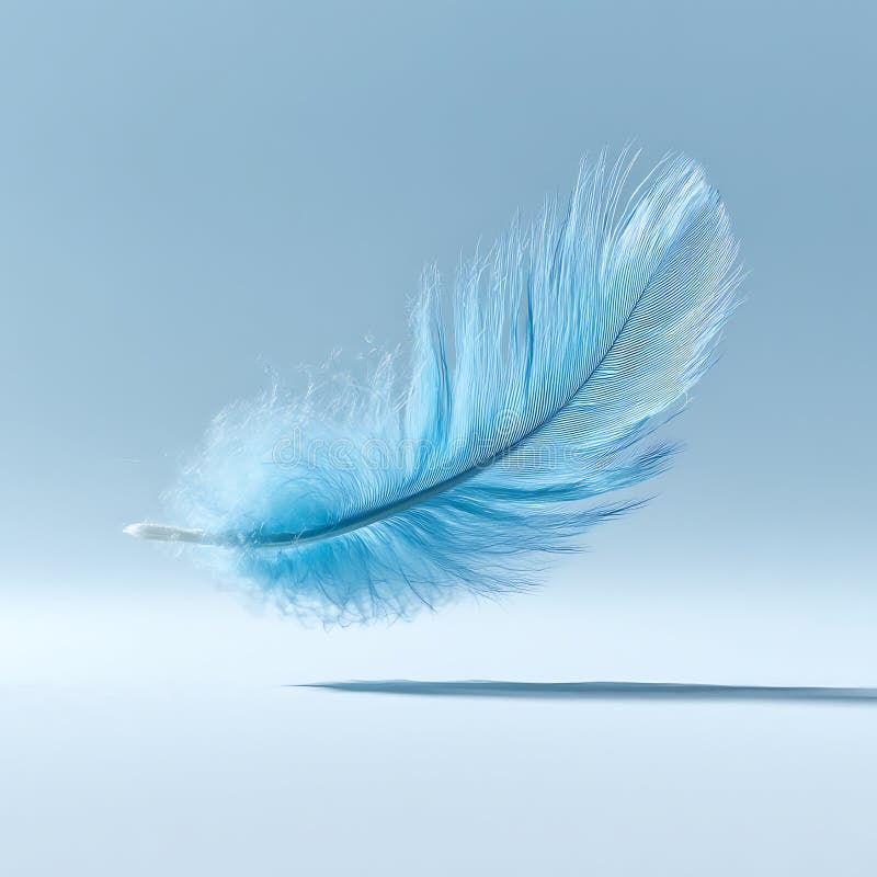 A Delicate, Light Blue Feather Appears To Float Against a Soft Blue ...