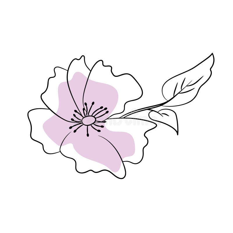 Delicate Line Drawing of a Pink Flower with a Leaf Highlighting ...