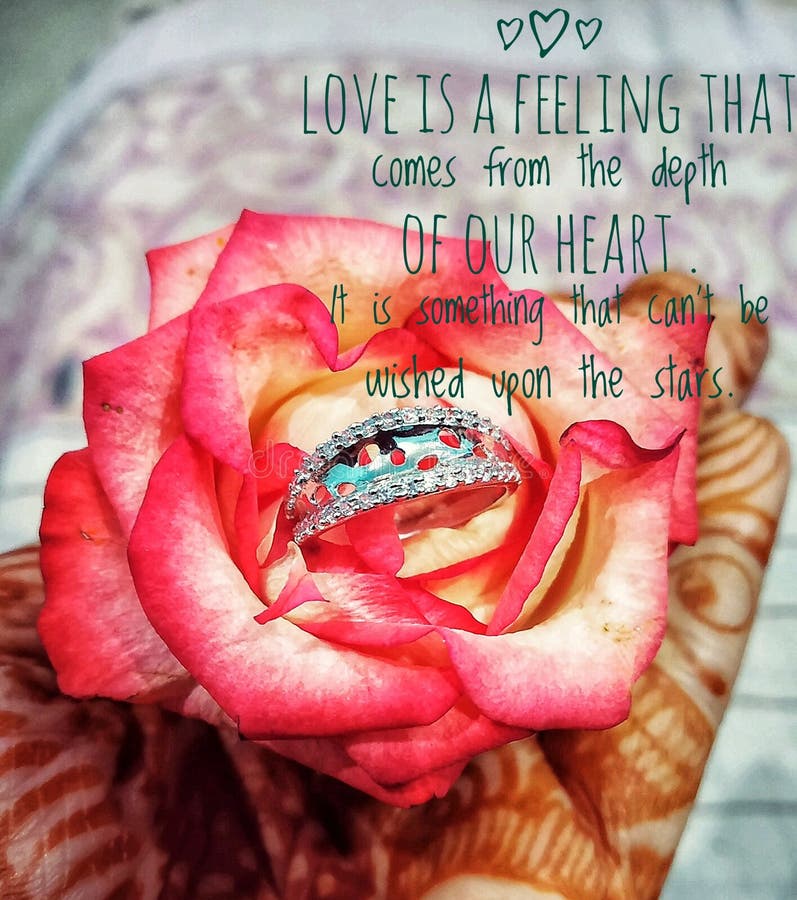 Delicate Love stock photo. Image of love, heart, depth - 113970380