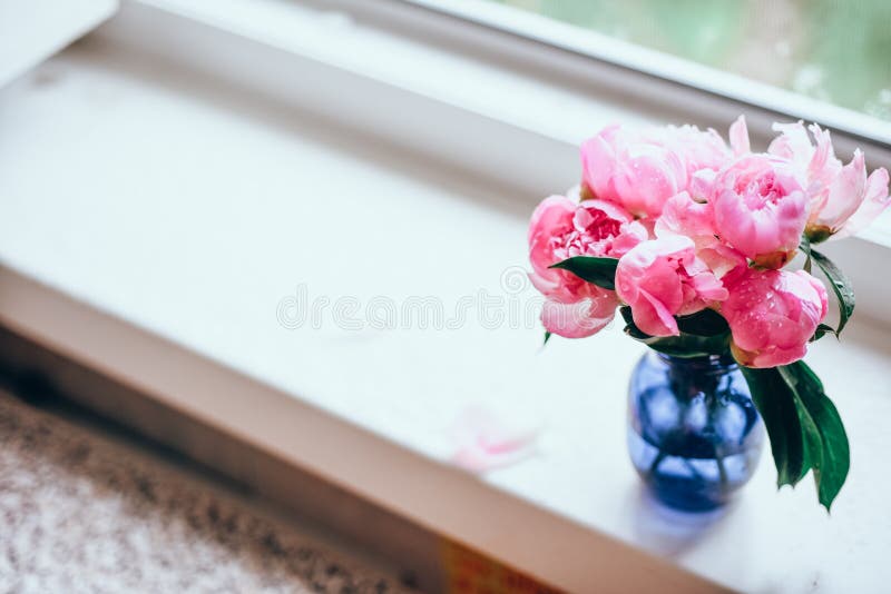 Delicate, Minimalistic Bouquet of Peonies on an Open Window. Spring ...