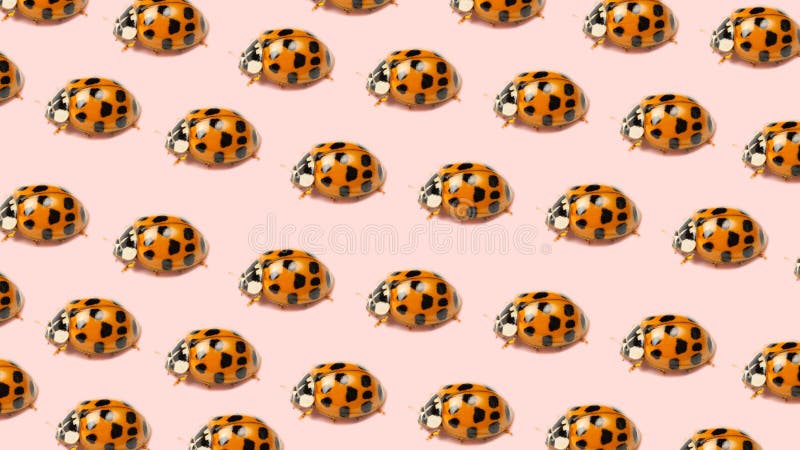 A Delicate Pattern with Lots of Ladybugs. Stock Photo - Image of happy ...