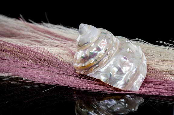 77,193 Pink Feather Stock Photos - Free & Royalty-Free Stock Photos ...