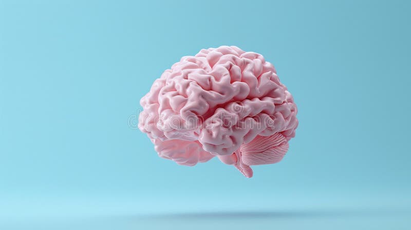 The Delicate Pink Brain is Softly Illuminated, Inviting Peaceful ...