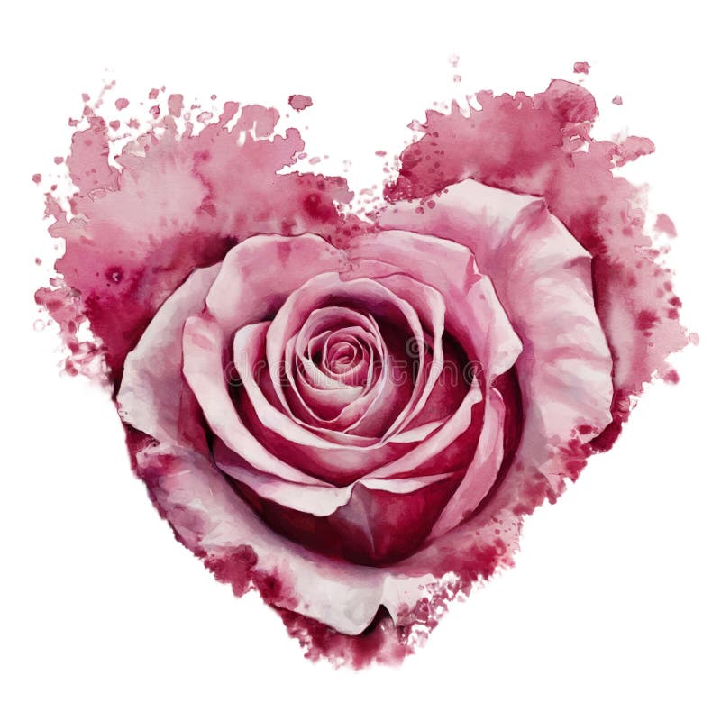 A Delicate Pink Rose is Set Against a Heart-shaped Pink Splash Stock ...