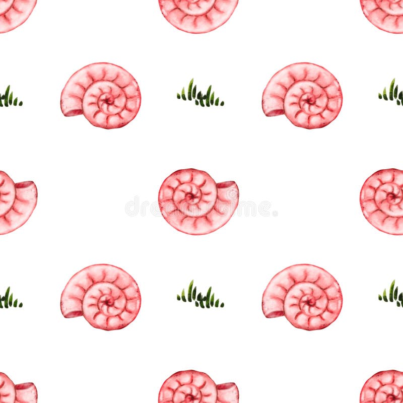Seamless Watercolor Pattern of Pink Spiral Shells on White Background ...