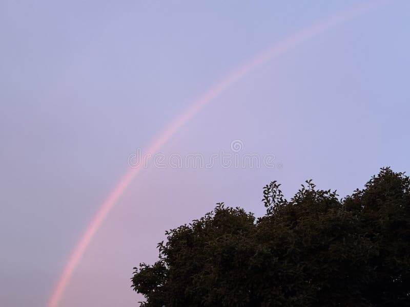 Delicate Rainbow with Silhouetted Trees Stock Image - Image of dusk ...