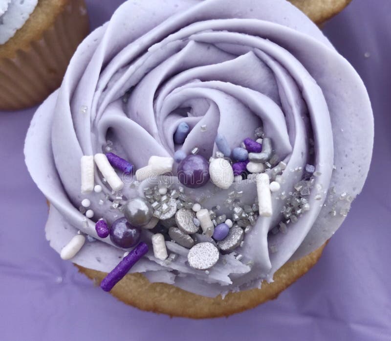 Purple cupcake stock photo. Image of delicate, purple - 256860150